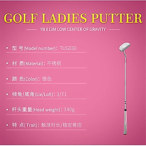 Golf Club Putters Right Handed Ladies Golf Putter Golf Training Chipping Clubs with Golf Headcover (Silver)