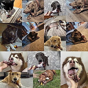 Anoodi 2 Pack Dog Chew Toys for Aggressive Chewers, Nylon Indestructible Large Dog Toys for Small Medium Dogs, Durable Interactive Dog Bone Chew Toys to Keep Them Busy, Real Beef & Bacon Flavored