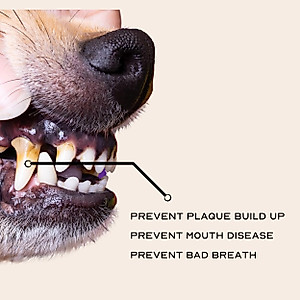 pupwell Puppy Breath Daily Dog Finger Toothbrush for Bad Breath, Removing Plaque and Tartar Buildup Made from Silicone (Slate Blue)