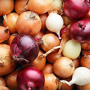 30 Mixed Onion Sets Yellow Onion Red White Onion Bulbs