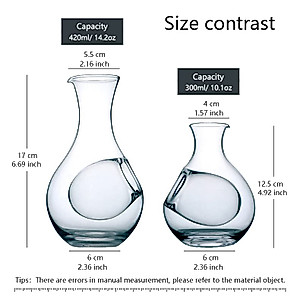 Japanese Sake Set Cold 4 Ochoko Cups (50ml) +1 Tokkuri Bottle (300ml) Lovely Hole for add ice Refrigeration Sake Pot Dispenser Double Walled Sake Cup Glass Decanter Carafe Gift for Sake Lover Party