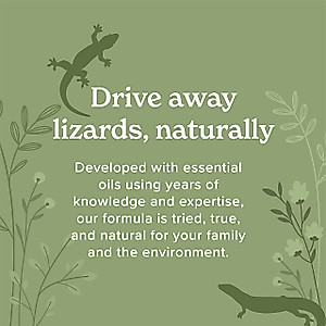 Vine Home Lizard Control Spray | 32 Ounce | Natural, Non-Toxic Lizard Repellent | Quick, Easy Pest Control | Safe Around Kids & Pets