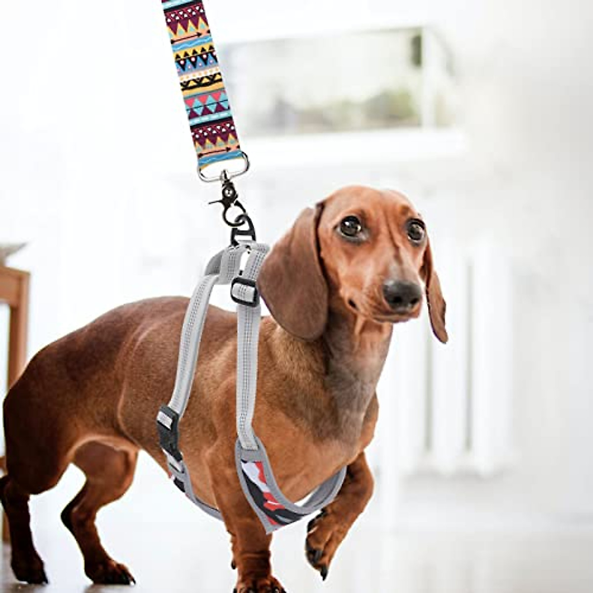 POPETPOP Reflective Vest Dog Harness - Reflective Breathable Soft Air Mesh Puppy No Pull Vest Harnesses - Escape Proof Pet Adjustable Harness for Small and Medium Dogs Small Dog Harness