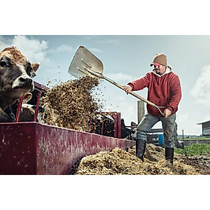 Dunlop Protective Footwear, Chesapeake plain toe Black Amazon, 100% Waterproof PVC, Lightweight and Durable, 8677577.10, Size 10 US