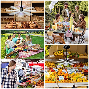 Neijiaer Fly Fans for Tables, Practical Fly Repellent Fan with Soft Blades, Soundless and Portable Fly Fan Keeps Your Food Clean(3 Pack)