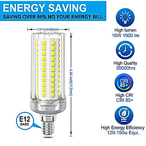 HAONIULED LED Light Bulb E12 Base 16W LED Candelabra Bulb 150 Watt Equivalent, Cool White 6000K 1900 Lumen Non-Dimmable Suitable for Home Indoor attic Corridor Garage Pack of 2