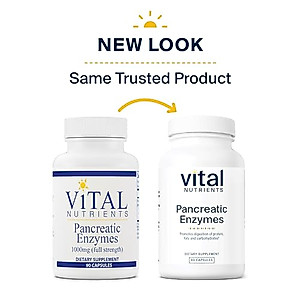 Vital Nutrients Pancreatic Enzymes 1000mg (Full Strength) | Pancreatin Digestion Supplement with Protease, Amylase & Lipase | Digestive Enzymes | Gluten, Dairy, and Soy Free | 90 Capsules