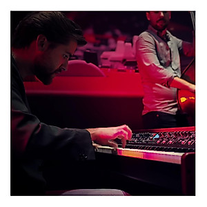 Nord Grand 88-Key Keyboard Bundle with Nord Piano Monitors V2, Nord Keyboard Stand, Adjustable Bench and 1/4-Inch TRS Cables (2-Pack) (6 Items)
