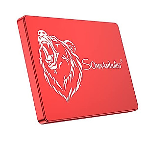 Somnambulist 2.5 Inch SATA 3 120GB 240GB 60GB SATA3 SSD Internal Hard Drive for Laptop (Red Bear-60GB)