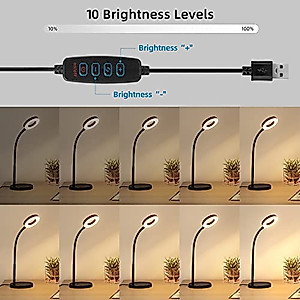 KAWOTI LED Desk Lamp USB Desk Light with 3 Lighting Modes Dimmable 10 Brightness Levels and Rotatable Phone Holder 360 ° Flexible Gooseneck for Bed Reading Work Study