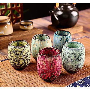 CteaTs Chinese/Japanese Style Ceramic Tea Cup Set Coffee Mug Asian Kung Fu Teacups Ceramic Yerba Mate Cup Set(5 Pack)