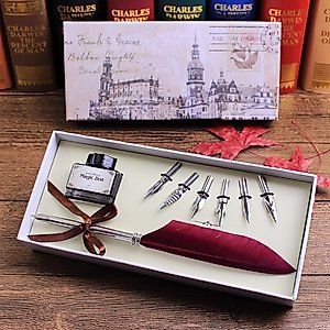 Feather Quill Pen and Ink English Calligraphy Pen Set Antique Dip Pen with Ink and 6 PCS Nibs for Drawing,Writing, Best Holiday gifts