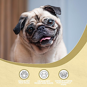 Farm Dog Naturals - Salvation Skin Care & Crusty Nose Balm for Dogs, 2 Ounce