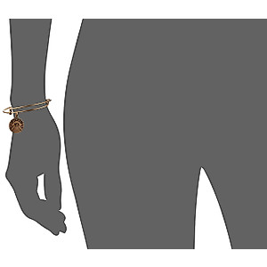 Alex And Ani Replenishment 19 Women's Cozumel, Charm Bangle, Rafaelian Gold