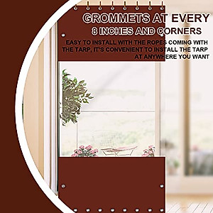 Ezcasch 20 Oz Outdoor Vinyl Curtain, Outdoor Clear Panel Curtain, Weather Resistant Outdoor Curtain for Pergola, Porch, Gazebos, with Rustproof Grommets (8'H x 8'W, Brown)