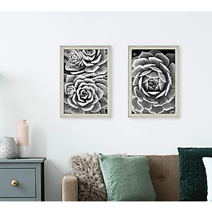 MCS Studio Gallery 13x19 Picture Frame Gray Woodgrain, Rectangle Photo Frame for Photos, Posters & Art Prints (2-Pack)