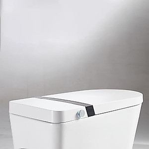 Strictly Sinks Smart Toilet with Bidet Built In–With Auto Open/Close Lid,Motion Sensor,Remote Control,Automatic Powerful Flush,Self-Cleaning & Drying Tankless Toilet