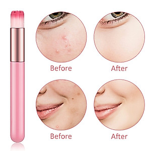 30 Pieces Red Flower Head Lash Shampoo Brush with Container, Eyelash Extension Cleanser Brush Nose Pore Deep Cleaning Brush Peel Off Blackhead Brush Remover Tool for Facial Cleansing, Pink Handle