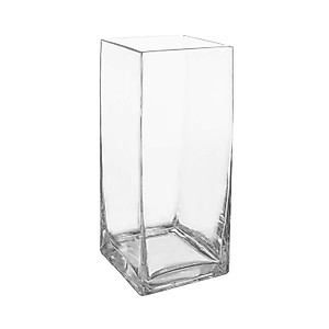 Royal Imports Flower Glass Vase Decorative Centerpiece for Home or Wedding - Tall Rectangle Shape, 12" Tall, 5"x5" Opening