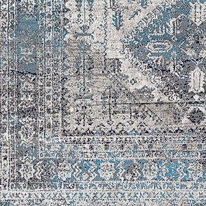 Livabliss Desta Vintage Oriental Area Rug,5'3" x 7'3",Blue/Grey