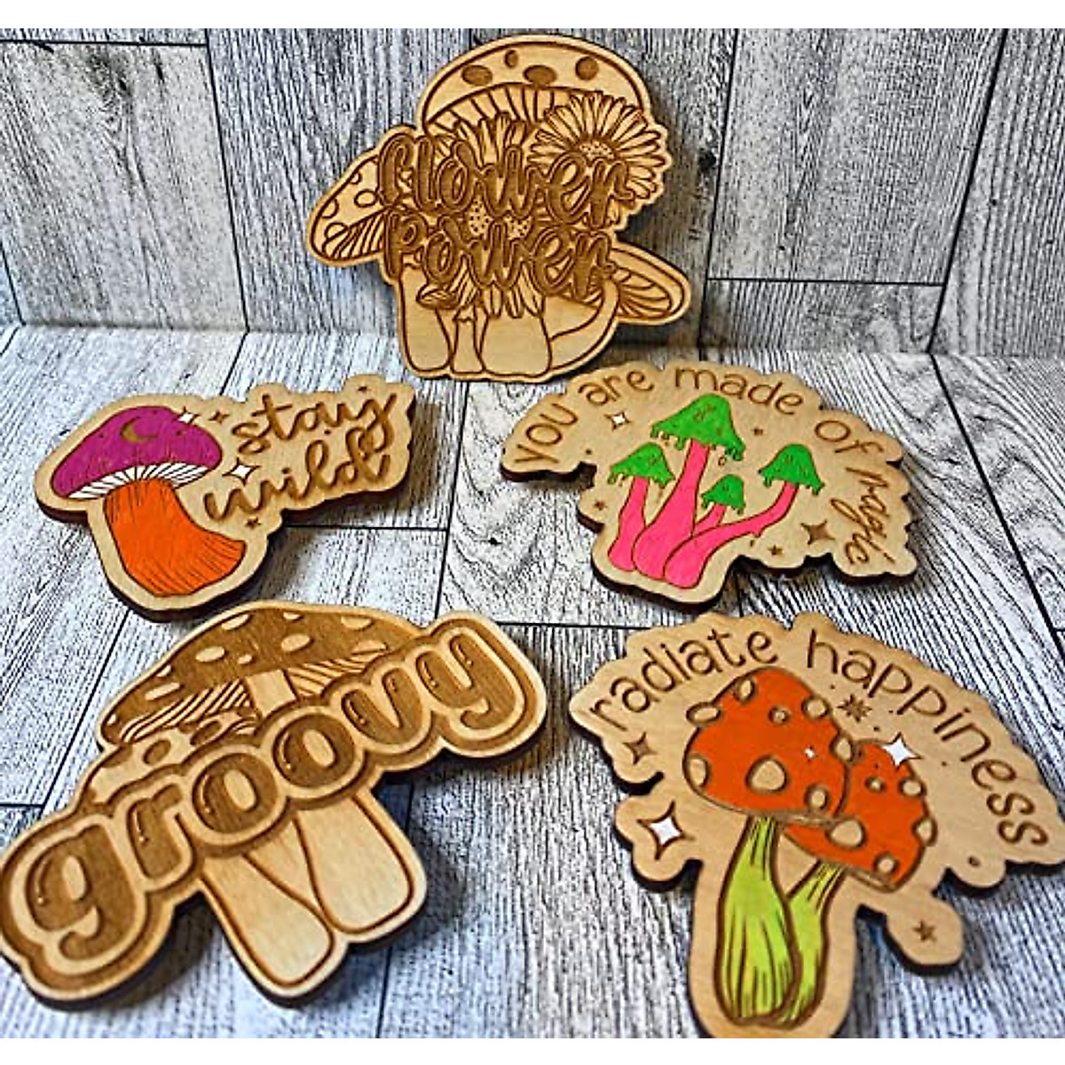 Mushroom Magnet Set of 5, Retro Magnet Set, Refridgerator Magnet Set