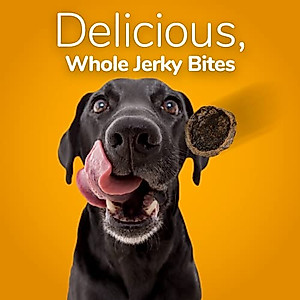 Fruitables Dog Treats – Whole Jerky Bites – Grilled Bison Dog Treats – Healthy Dog Treats – 5 Ounces