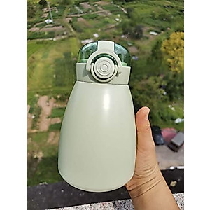 MOMEITU Kawaii Water Bottle Stainless Steel Water Bottle Cute 3D Sticker Insulated Water Bottle Cute Drug Water Bottle(500ML,green)