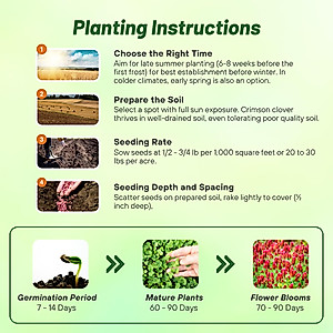 Outsidepride Crimson Clover Seeds - 10 lbs. Annual, Nitrocoated, & Inoculated Ground Cover Seeds, Ideal Clover Seed for Lawn, Cover Crop, Pasture, Hay, Green Manure & Wildlife Forage