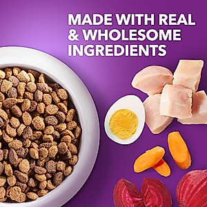 Iams Advanced Health Adult Healthy Digestion Dry Dog Food with Real Chicken, 6 lb. Bag