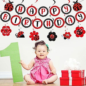 Ladybug Fancy Party Decoration Kit - Cute Birthday Banner, Honeycomb Centerpiece, Hanging Swirls for Girls Birthday Baby Shower Party Supplies