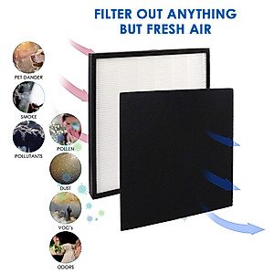 Flintar FLT5900 H13 True HEPA Replacement Filter J, Compatible with Germ Guardian GermGuardian Air Purifier AC5900WCA and AC5900WDLX, 1-Pack