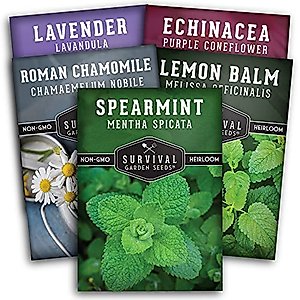 Survival Garden Seeds Herbal Collection Seed Vault - 5 Herbs to Grow & Plant in The Vegetable Garden - Lavender, Mint, Echinacea, Lemon Balm, Roman Chamomile - Non-GMO Heirloom Varieties