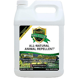 Natural Armor Animal & Rodent Repellent Spray. Repels Skunks, Raccoons, Rats, Mice, Deer Rodents & Critters. Repeller & Deterrent in Powerful Peppermint Formula – 128 Fl Oz Gallon Refill Case of 4