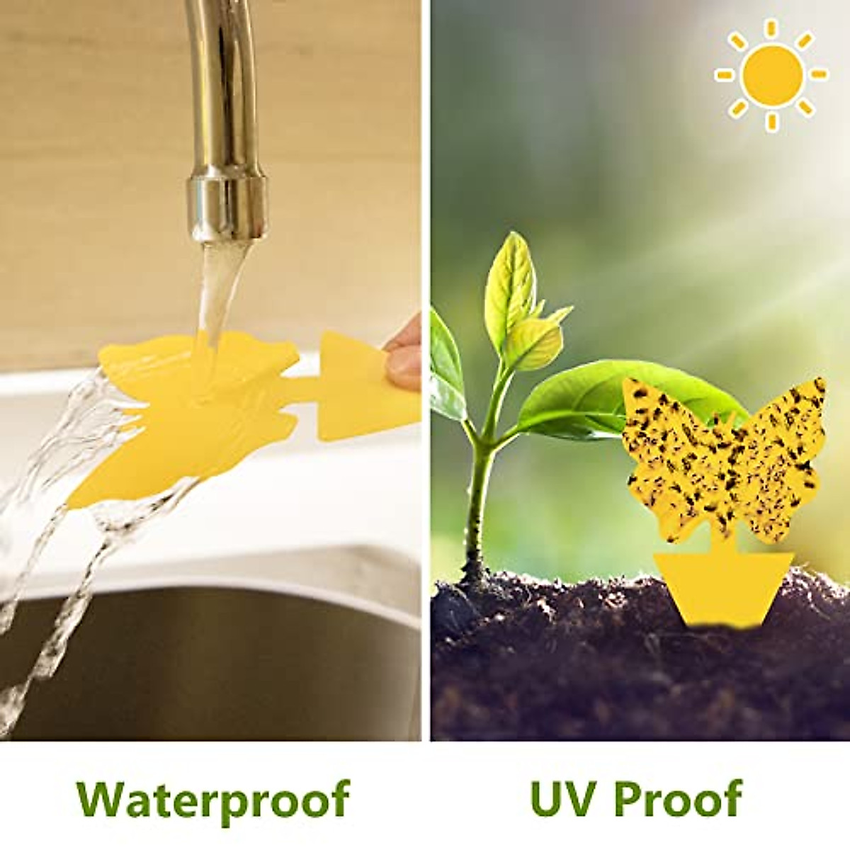 40 Pack Fungus Gnat Traps for House Indoor Yellow Sticky Traps for Plants, Dual-Sided Fungus Gnat Sticky Traps Fruit Fly Traps for Indoors