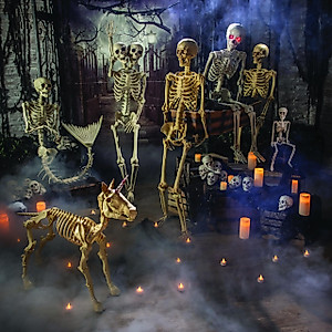 Fun Express 73", 6 Ft, Life Size Original Mermaid Skeleton decor Halloween Decoration, Plastic, Posable, Outdoor and Indoor Use, Halloween and Mystical Decor