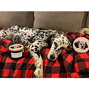 Sand + Paws Scented Candle - Sage & Sea Salt - Additional Scents and Sizes –Luxurious Air Freshening Jar Candles Neutralize pet Odors and Enhance Home décor – 100% Cotton Lead-Free Wicks - 12 oz