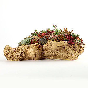 Gazechimp Driftwood Stump Log Resin Planter/Succulent Pot/Plant Pot, 14.2L x 4.7W