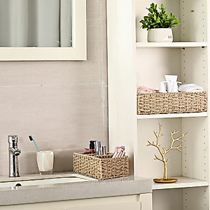 Vagusicc 3-Section Wicker Baskets, Small Baskets for Organizing, Hand-Woven Seagrass Storage Baskets, Toilet Tank Topper Paper Basket, Woven Baskets for Storage, 2-Pack