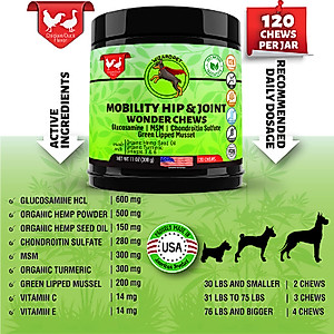WIZARDPET Advanced Hemp Hip and Joint Supplement for Dogs - Hemp Oil Glucosamine Chondroitin for Dog - Omegas - Turmeric - MSM - Green Lipped Mussel, Made in USA Treats Support Mobility - 120 Chews