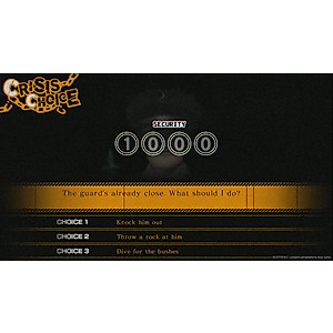 Spirit Hunter: NG - PlayStation 4 Standard Edition