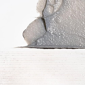 Briogeo Scalp Revival Charcoal + Coconut Oil Micro-Exfoliating Shampoo, Treatment for Dry & Itchy Scalp, Clarifying Shampoo for Build Up, Scalp Scrub for Oily Scalp, Vegan, Cruelty-Free, 2 fl oz