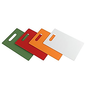 Lesbin 4-Piece Small Plastic Cutting Board with Handles