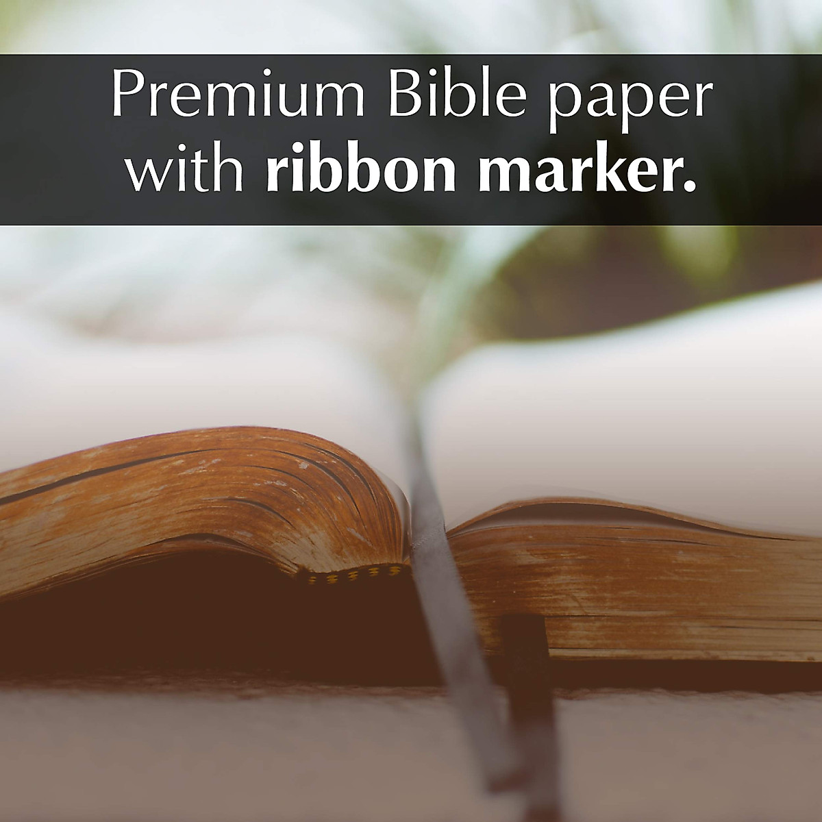 The Passion Translation New Testament, Burgundy, Large Print (Faux Leather) – In-Depth Bible with Psalms, Proverbs, and Song of Songs, Makes a Great Gift for Confirmation, Holidays, and More