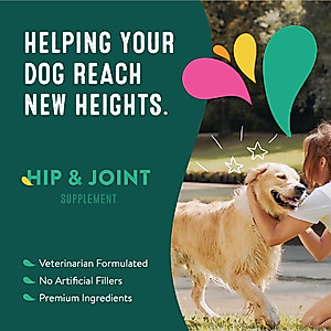Happy Go Healthy Hip & Joint Supplements for Dogs | Helps Joint Health & Mobility Support for Recovering and Senior Dogs | Natural Ingredients, Tasty Kibble Dog Food Topper | 60-Count Pack