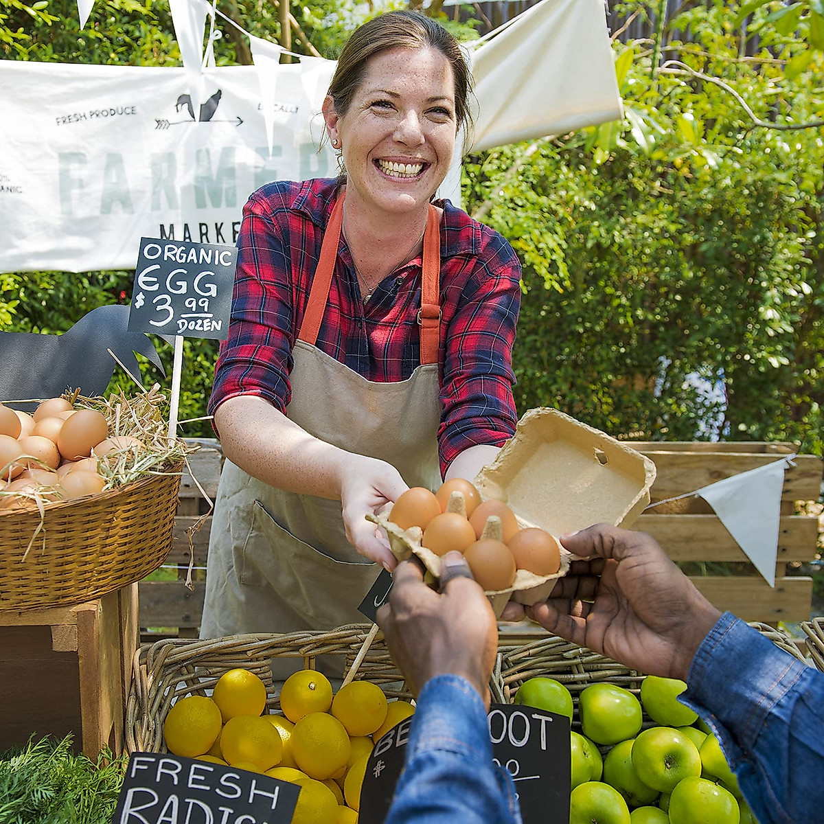 WISHOPE 40 Pieces Paper Egg Cartons for Chicken Eggs Pulp Fiber Egg Tray Holder Bulk Holds 6 Count Eggs Family Farm Market Travel Egg Storage Containers Included 40 Labels Brown