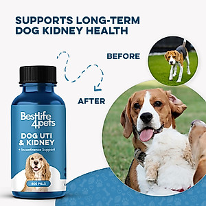 Dog UTI Treatment, Bladder & Kidney Support - Natural Incontinence and Bladder Control for Dogs Reduces Urinary Tract Infections, Flush Out Kidney Stones & Improves Dog Kidney Health - 400 Tiny Pills