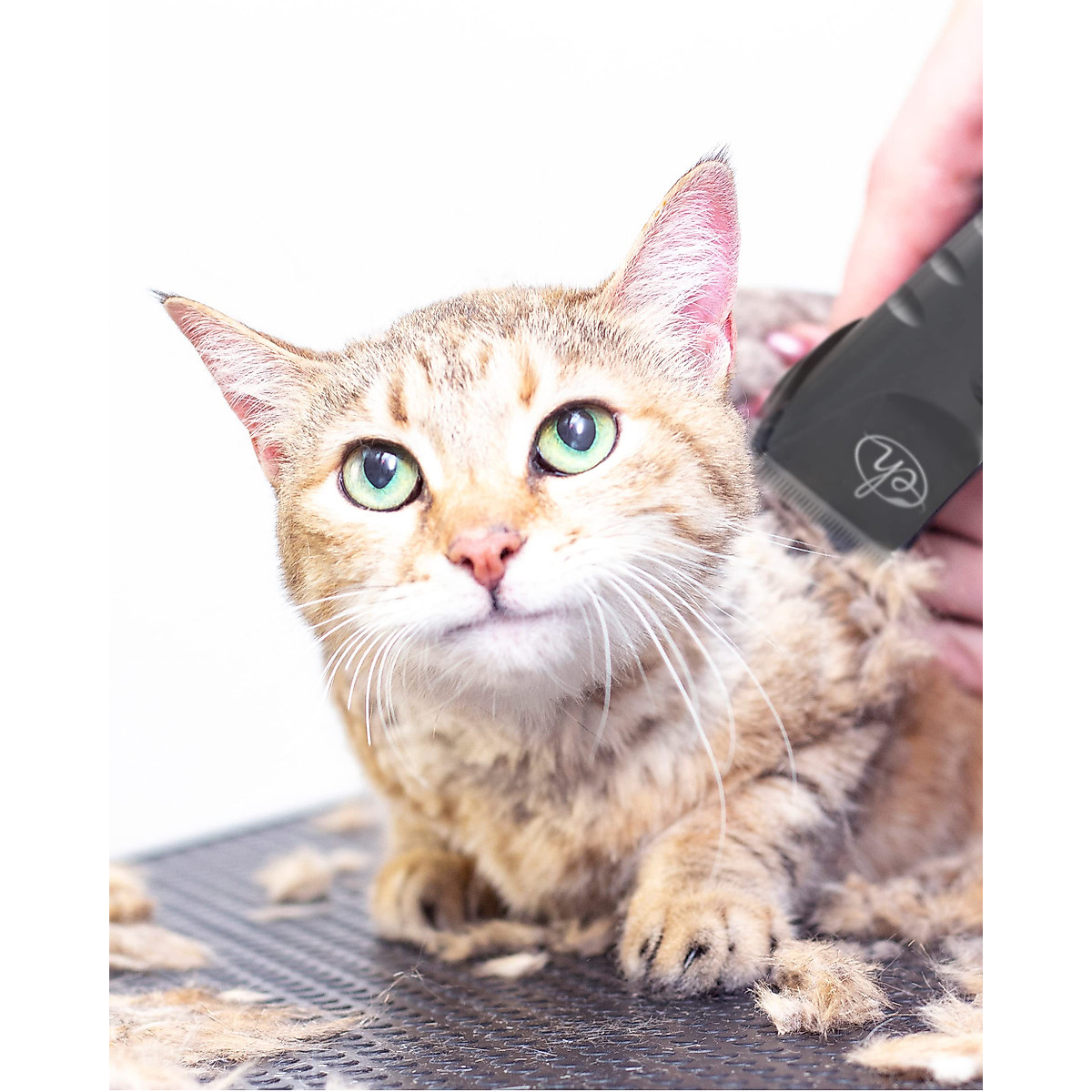 Ceramic Cat Grooming Kit Clippers Trimmer for Matted Hair - Low Noise, 3 Speed, Cordless Dogs Cats Pets Clipper Shavers Rechargeable - Professional Groomer Clipper with Charging Stand for Pet