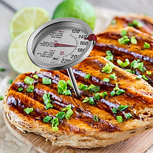 ANNSEA SINARDO Meat Thermometer for Oven T731, BBQ Thermometer, Oven Safe, Large 2.5-Inch Easy-Read Face, Stainless Steel Stem and Housing