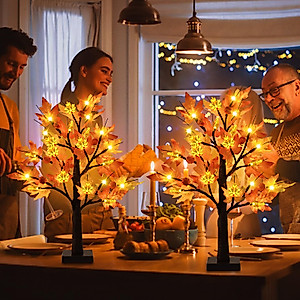 2 Pack Fall Decor 24 Inch Prelit Fall Maple Tree with 48 LEDs Timer Battery Operated, Fall Decoration Tabletop Acorn Pumpkin Maple Leaves Artificial Tree for Thanksgiving Harvest Indoor Decoration