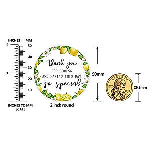 80 Lemon Bridal Shower Stickers, Lemon Birthday Party Thank You Stickers, Lemon Themed Party Favor Labels Stickers(2 Inch)